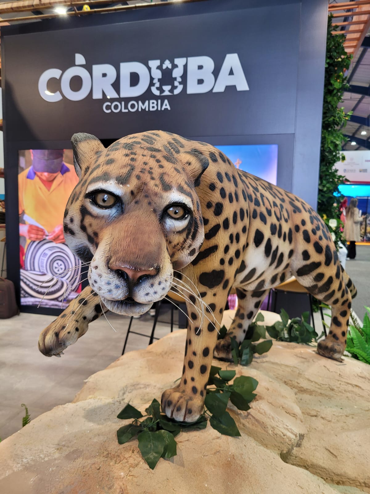 Córdoba será protagonista de Honor en la Vitrina Turística de ANATO ...